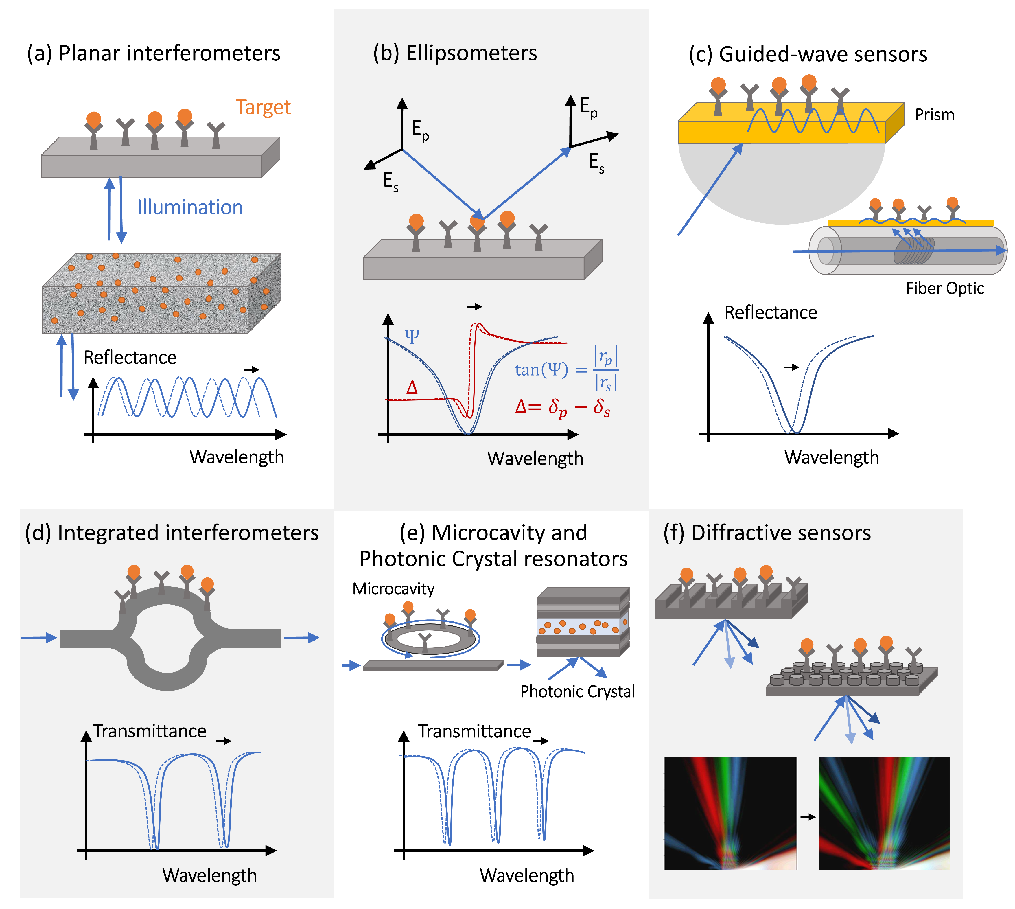 Roadmap on Universal Photonic Biosensors for Real-Time Detection of ...
