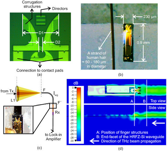 Broadband Terahertz Photonic Integrated Circuit with Integrated Active Photonic Devices