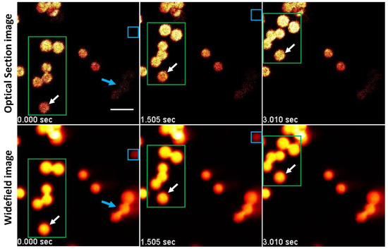 Comparison of Two- and Three-Beam Interference Pattern Generation in ...