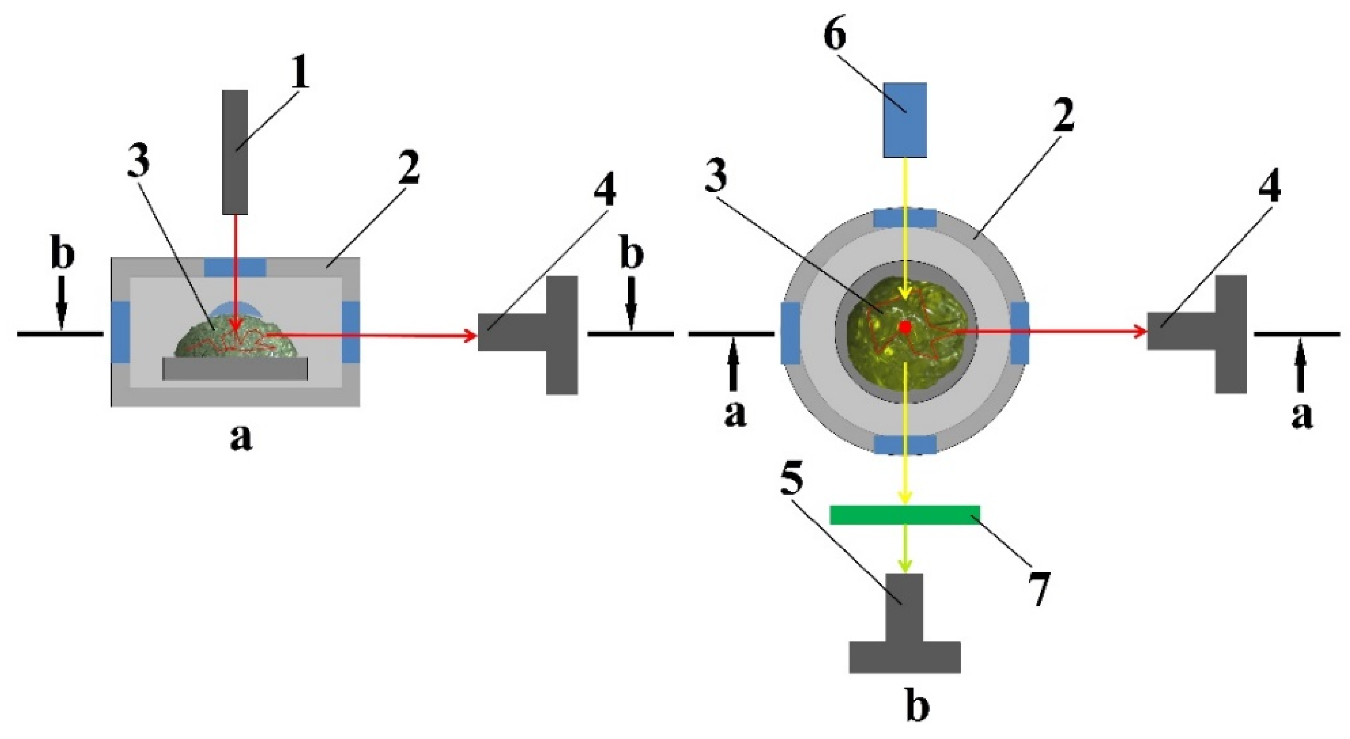 Dynamic Light Scattering by Foamed Polymers during Preparation of ...