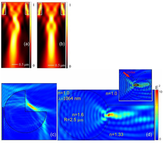Optical Phenomena in Mesoscale Dielectric Particles