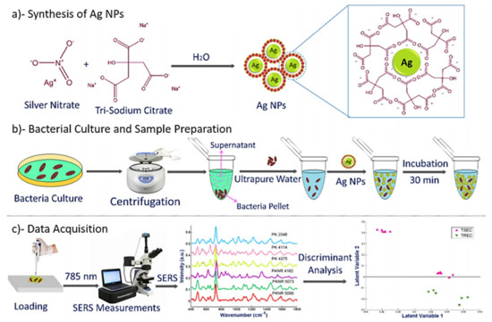 A Review of Raman-Based Technologies for Bacterial Identification and ...