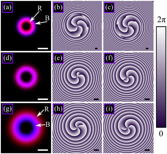 Topological Charge of Multi-Color Optical Vortices