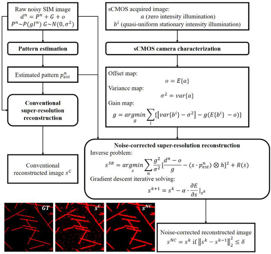 sCMOS Noise-Corrected Superresolution Reconstruction Algorithm for Structured Illumination ...