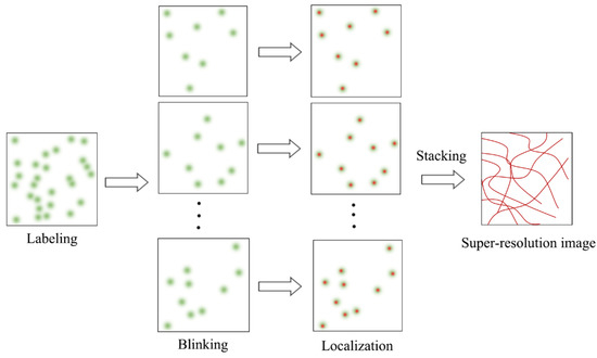 Blood Cell Analysis: From Traditional Methods to Super-Resolution ...