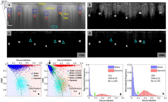 Endoscopic OCT Angiography Using Clinical Proximal-End Scanning Catheters