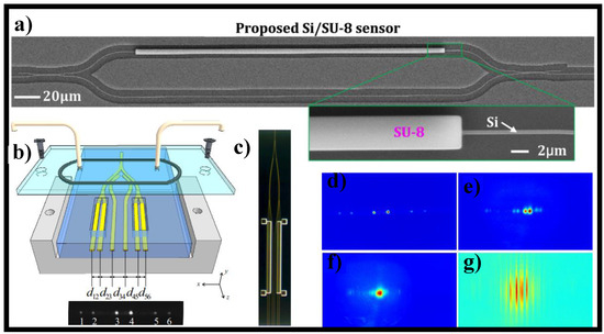 Advancement in Silicon Integrated Photonics Technologies for Sensing ...