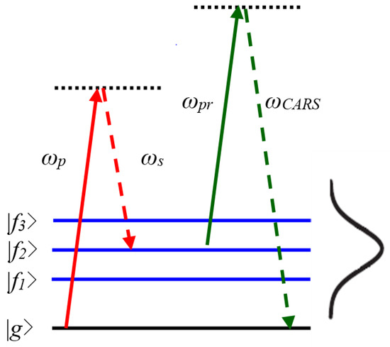 Theoretical Study on the Ultrafast Selective Excitation of Surface ...