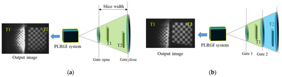 Range Intensity Profiles of Multi-Slice Integration for Pulsed Laser ...