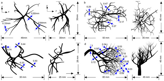 Tutorial on Development of 3D Vasculature Digital Phantoms for ...