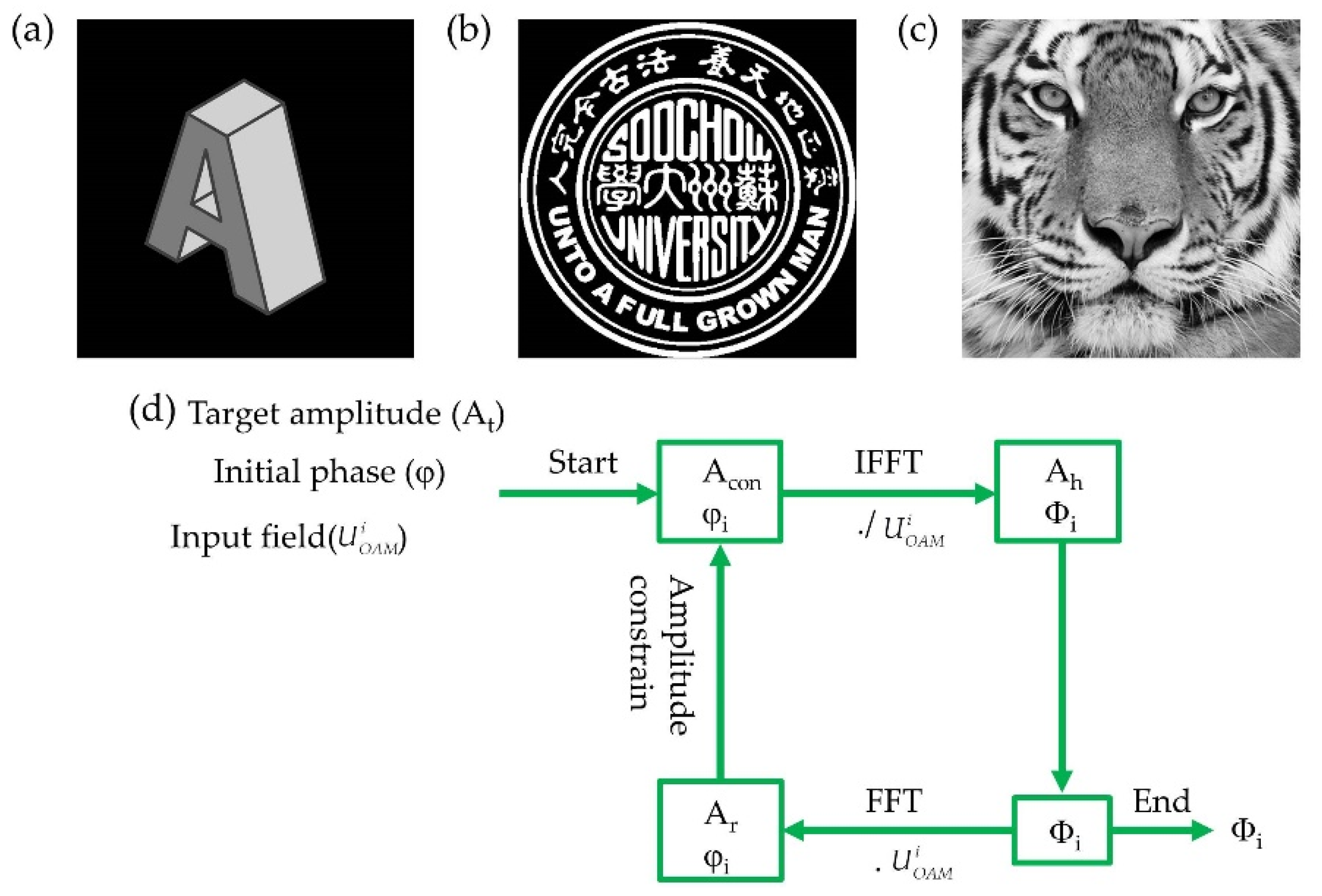 Holographic Encryption Applications Using Composite Orbital Angular ...