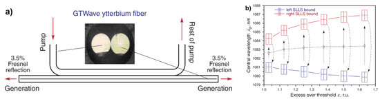 Fiber Lasers Based on Dynamic Population Gratings in Rare-Earth-Doped ...