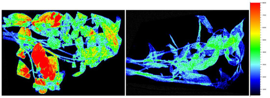 Chlorophyll Fluorescence Imaging (CFI) and Laser-Induced Breakdown ...