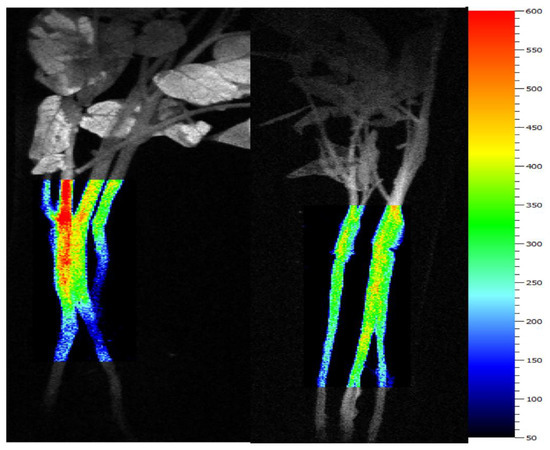 Chlorophyll Fluorescence Imaging (CFI) and Laser-Induced Breakdown ...