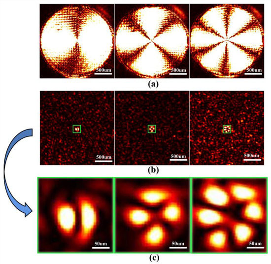 Vectorial Manipulation of High-Resolution Focusing Optical Field ...