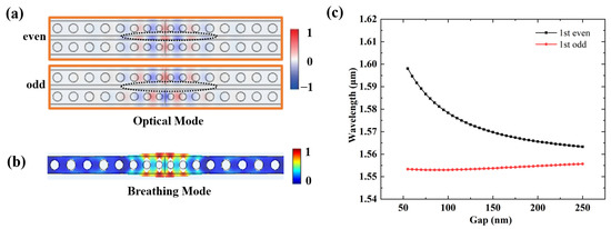 Synchronization of Optomechanical Oscillators in Coupled 1D Optomechanical Crystal Nanobeam Cavities