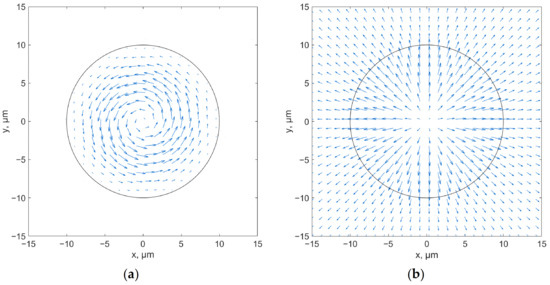 The Effect of the Spin and Orbital Parts of the Poynting Vector on ...