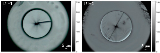 Generation, Transmission, and Amplification of OAM Modes in the PbSe ...