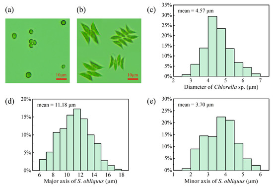 Modeling Effect of Bubbles on Time-Dependent Radiation Transfer of ...