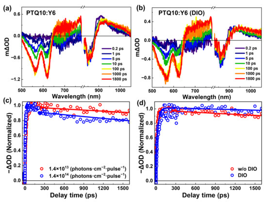 Charge Photogeneration and Recombination Dynamics in PTQ10:Y6 Solar Cells