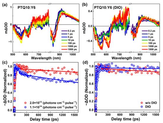 Charge Photogeneration and Recombination Dynamics in PTQ10:Y6 Solar Cells