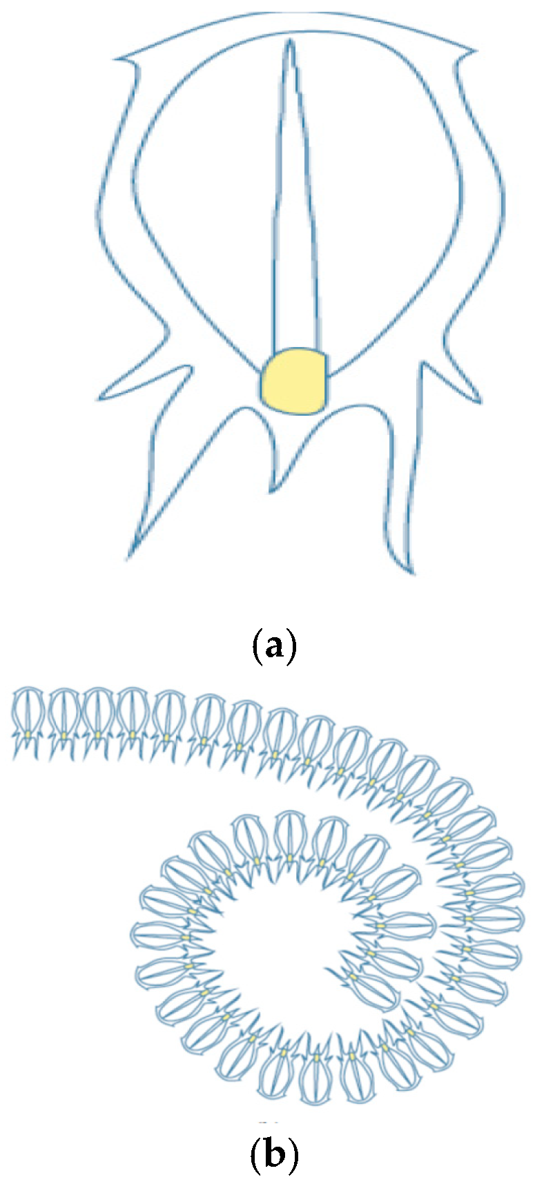 Performance of SALP Swarm Localization Algorithm in Underwater Wireless Sensor Networks