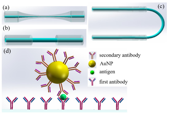 Optical Fiber Biosensors for Protein Detection: A Review