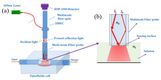 Optical Fiber Biosensors for Protein Detection: A Review