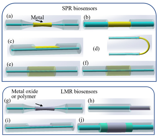 Optical Fiber Biosensors for Protein Detection: A Review