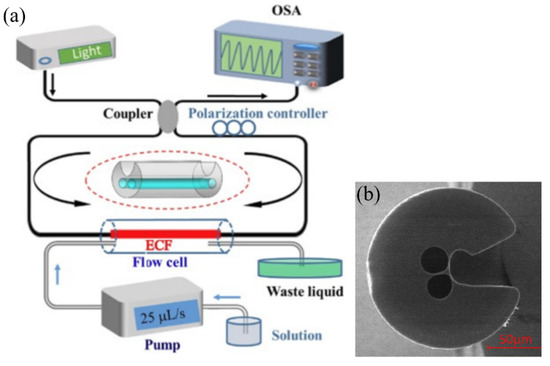 Optical Fiber Biosensors for Protein Detection: A Review