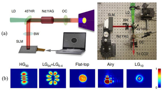 Structured Light Laser Based on Intra-Cavity Modulation