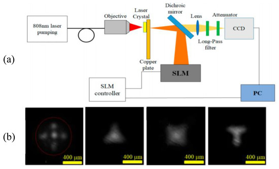 Structured Light Laser Based on Intra-Cavity Modulation