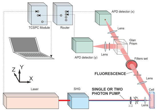 Fluorescence Anisotropy in Radachlorin and Chlorin e6 in Water–Methanol Solutions under One- and ...