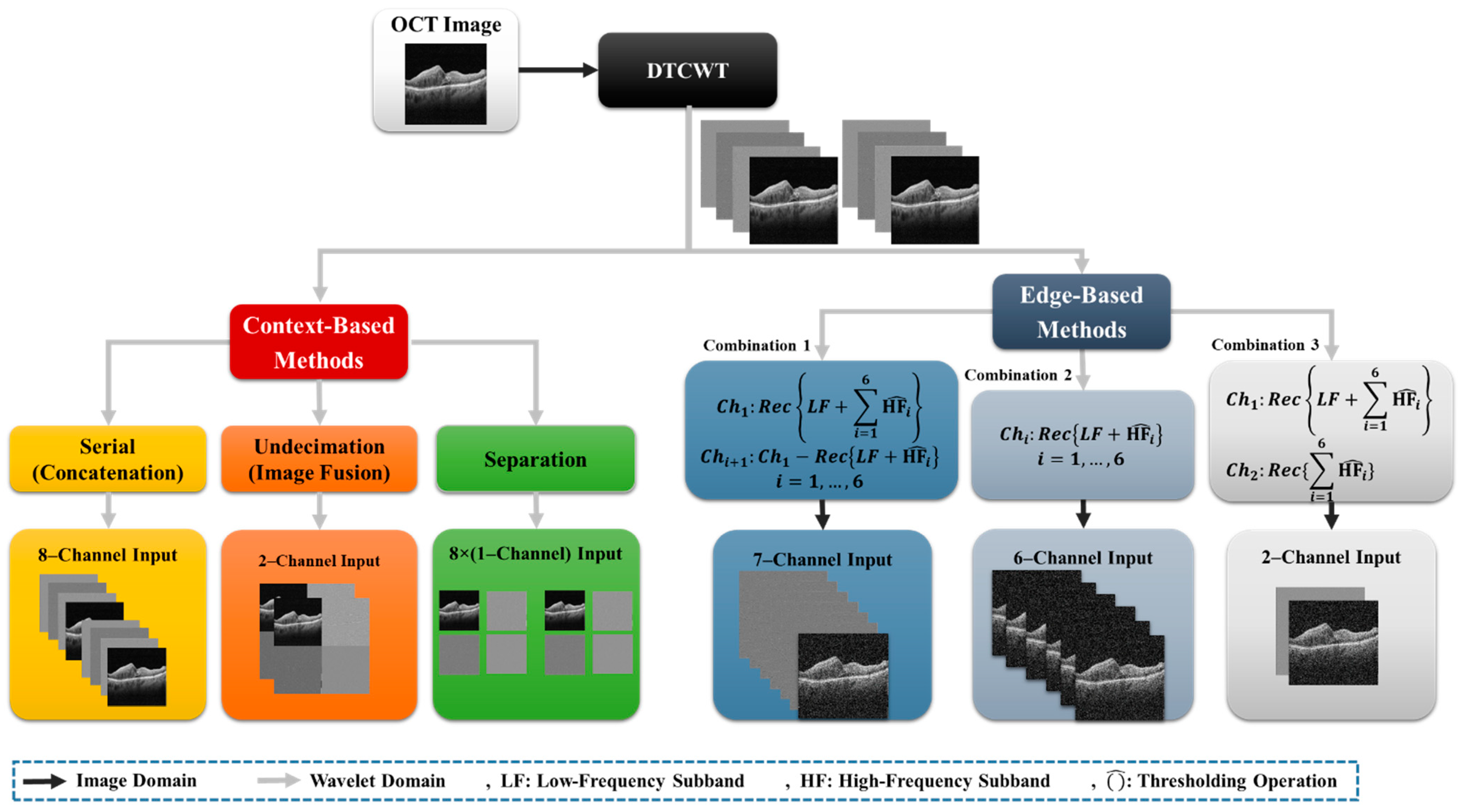 Dual-Tree Complex Wavelet Input Transform for Cyst Segmentation in OCT Images Based on a Deep ...