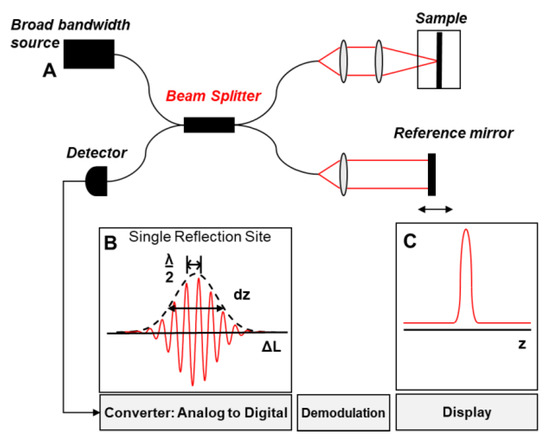 Extracting Morphological and Sub-Resolution Features from Optical Coherence Tomography Images, a ...