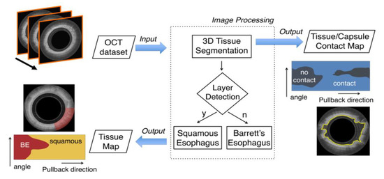 Extracting Morphological and Sub-Resolution Features from Optical ...