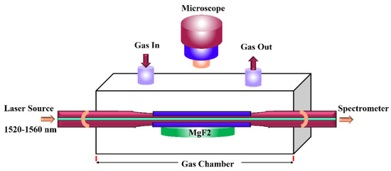 Recent Advances in Optical Hydrogen Sensor including Use of Metal and ...