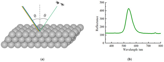 Numerical Analysis of Structural Color for Photonic Crystal Hydrogel