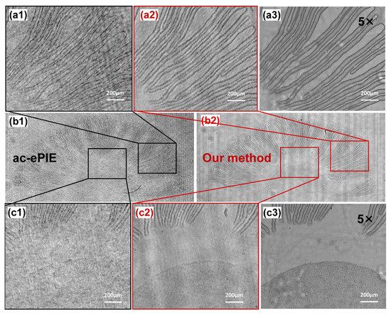 Lensless Imaging via Blind Ptychography Modulation and Wavefront Separation