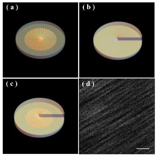 Generation of Vector Vortex Beams Based on the Optical Integration of ...