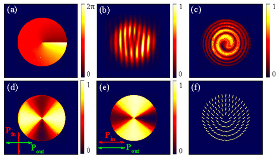 Generation of Vector Vortex Beams Based on the Optical Integration of ...