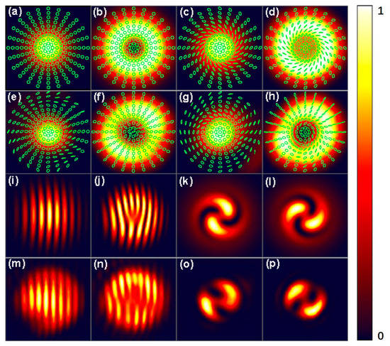 Generation of Vector Vortex Beams Based on the Optical Integration of ...
