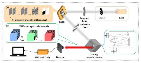 Single-Pixel Hyperspectral Imaging via an Untrained Convolutional Neural Network