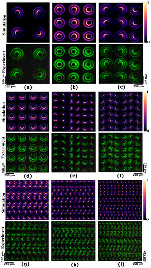 Tailoring Large Asymmetric Laguerre–Gaussian Beam Array Using Computer-Generated Holography