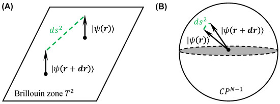 Method for the Quantum Metric Tensor Measurement in a Continuous ...