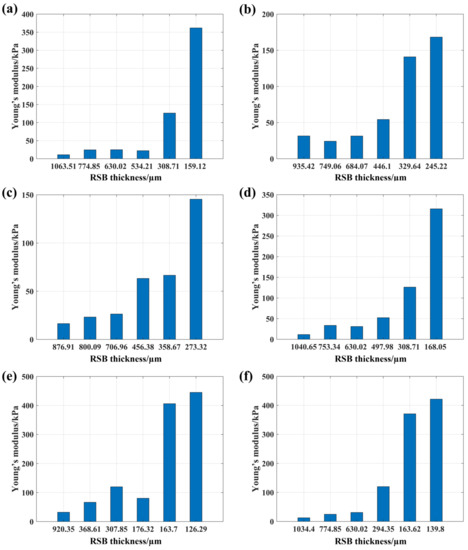 Evaluation of Residual Corneal Stromal Bed Elasticity by Optical ...
