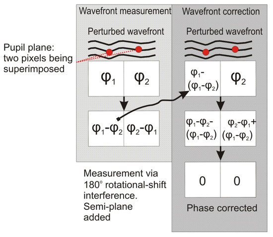 Wavefront Sensing by a Common-Path Interferometer for Wavefront ...