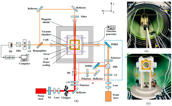 A Novel Measurement Method for Spin Polarization Three Axis Spatial Distribution in Spin ...