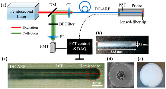 Lensed Fiber-Optic Two-Photon Endomicroscopy for Field-of-View Enhancement