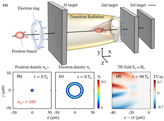 Photonics | Free Full-Text | Multistage Positron Acceleration by an Electron Beam-Driven Strong ...